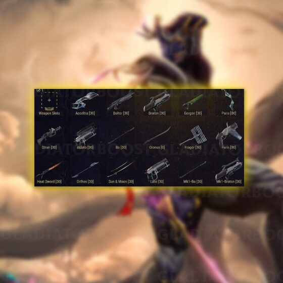 Warframe Weapon Leveling Boost | Fast Rank 30 Weapon Service